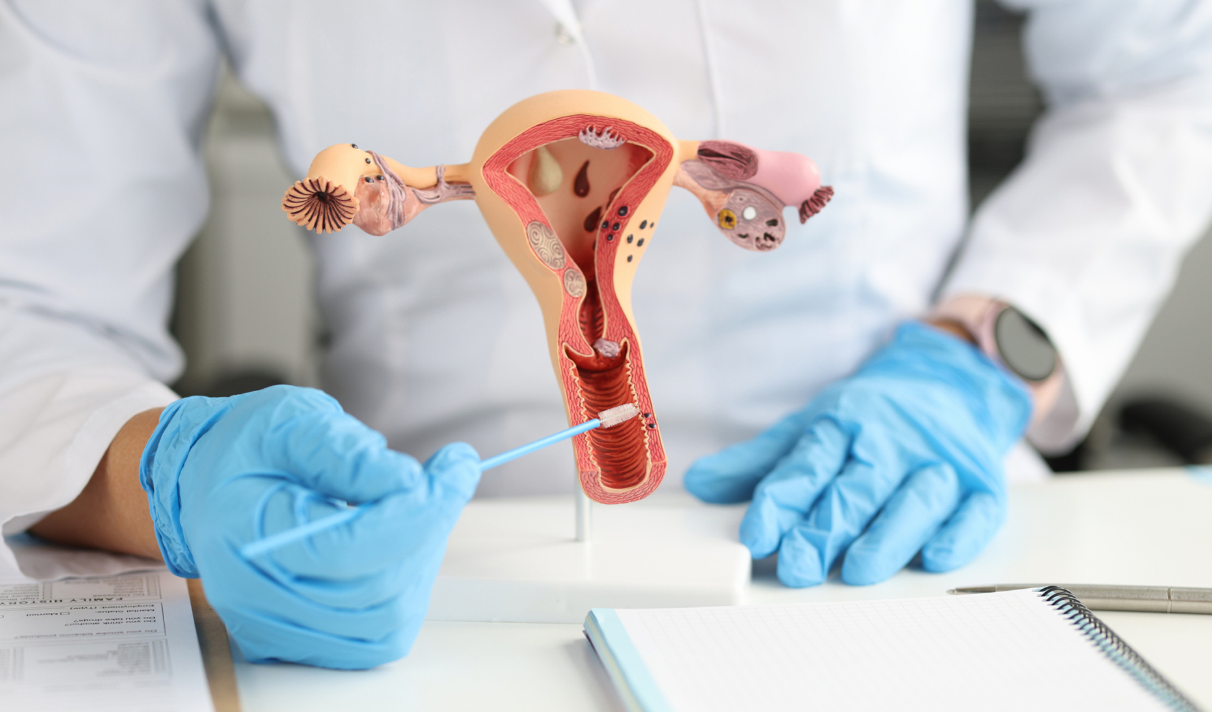 فحص عنق الرحم - Healthy Horizons